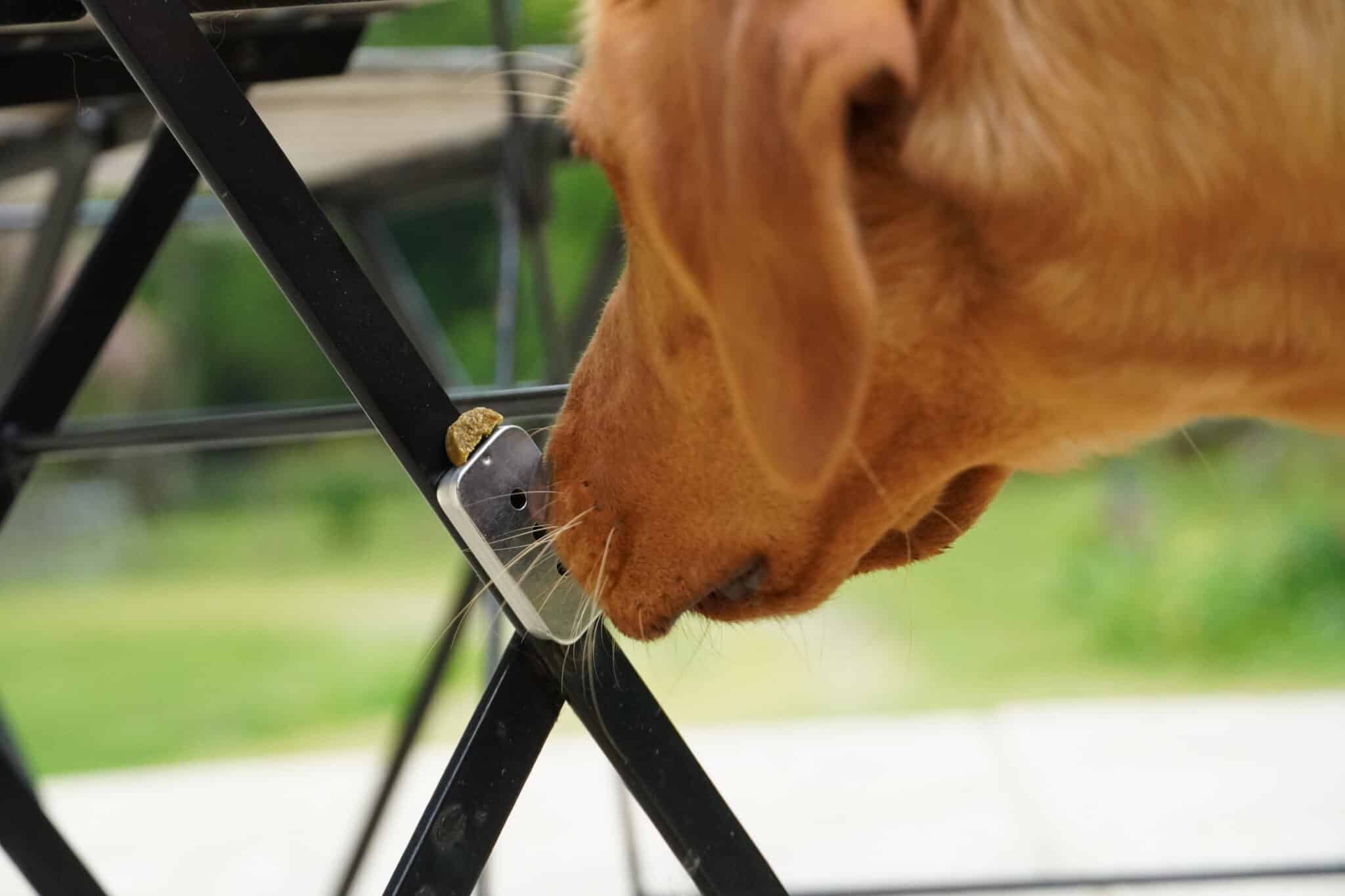 Pairing Power ! L’apprentissage d’une odeur-cible spécifique - Muzo+